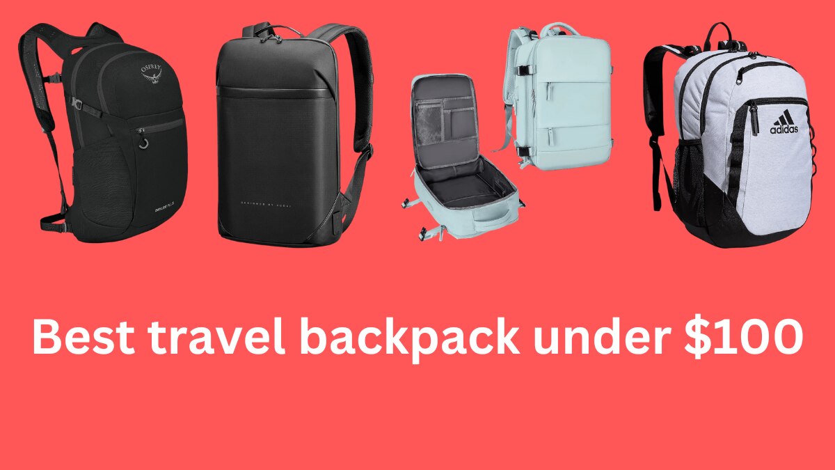 best travel backpack under $100 | Fine Backpack