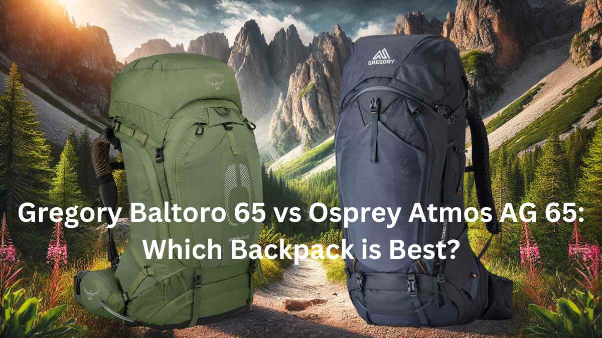 Gregory Baltoro 65 vs Osprey Atmos AG 65 | Fine Backpack