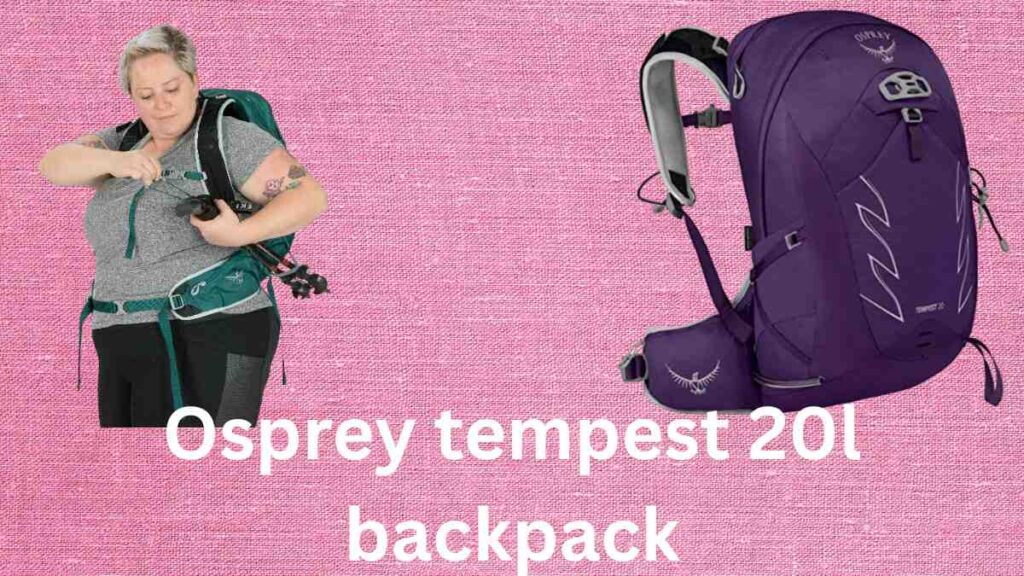 Best Day Hiking Packs | Fine Backpack