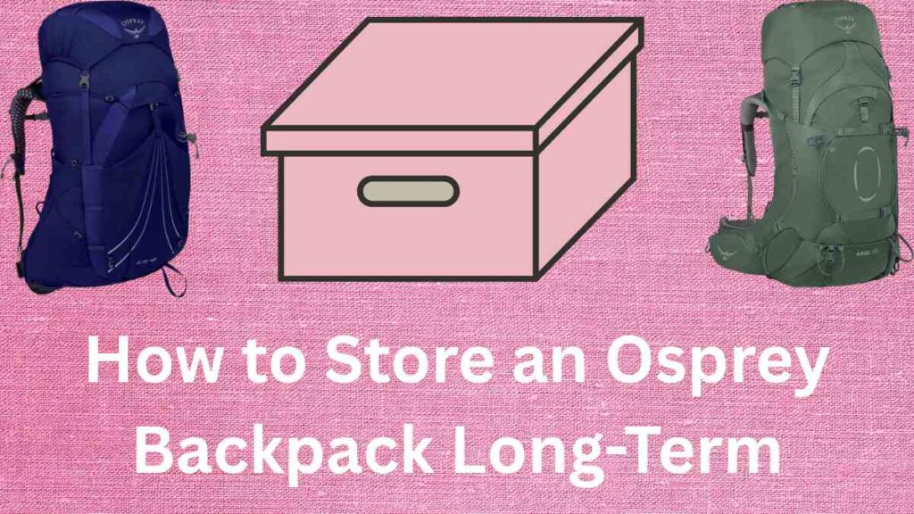 Best Day Hiking Packs | Fine Backpack